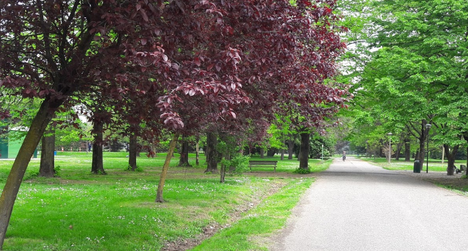 Parco di via Toti Parco / Giardino / Area all'aperto